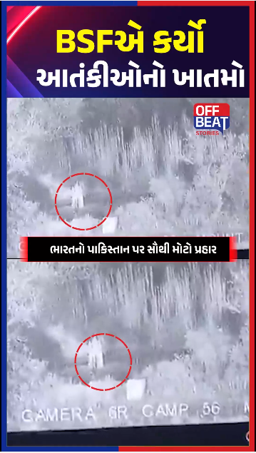 BSFએ કર્યો 7 આતંકીઓનો ખાતમો : BSFએ આંતરરાષ્ટ્રીય સીમા પર કર્યો 7 આતંકીઓનો ખાતમો | Offbeat stories